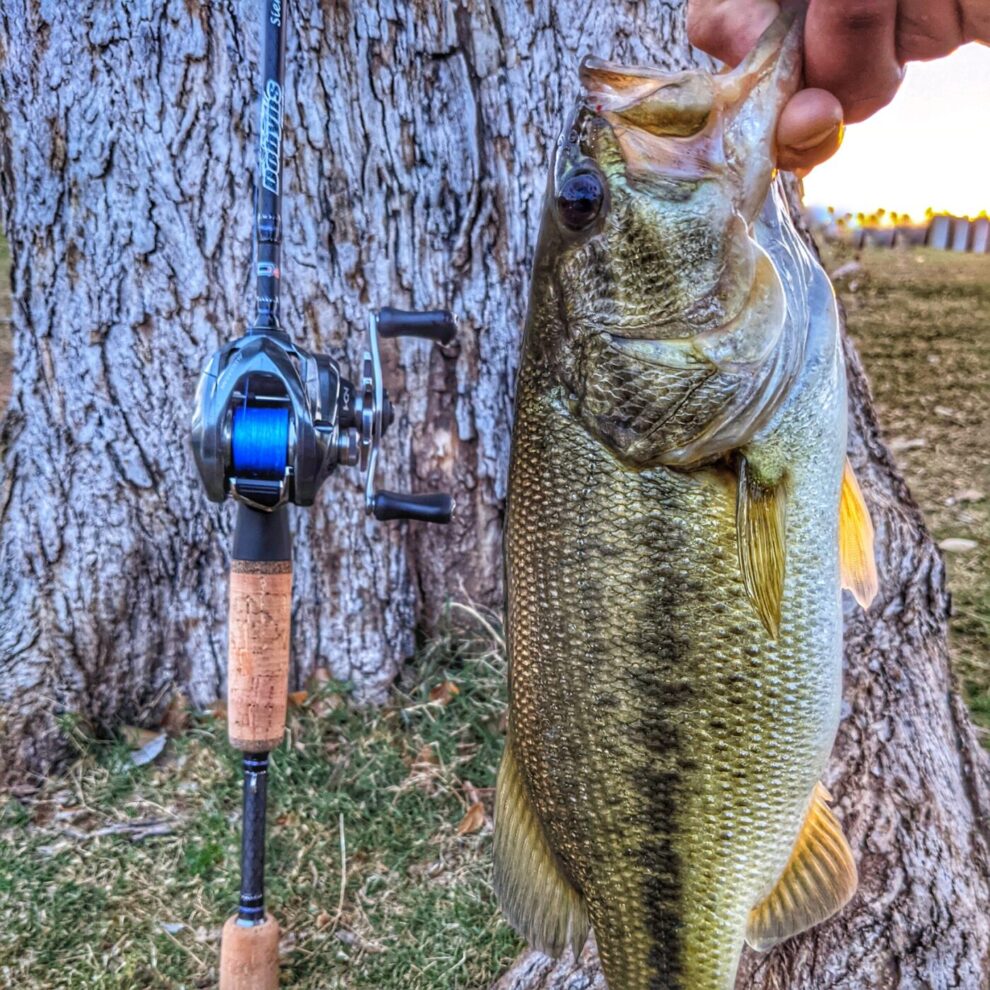 Tsurinoya Dark Wolf Ultra KF-50S – Bait Finesse Empire