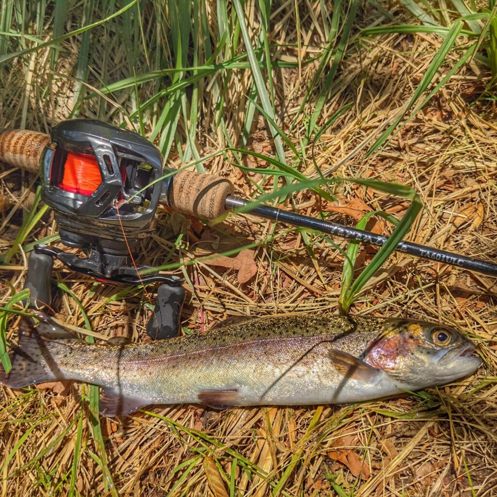 Kuying Teton Series Rods – Bait Finesse Empire